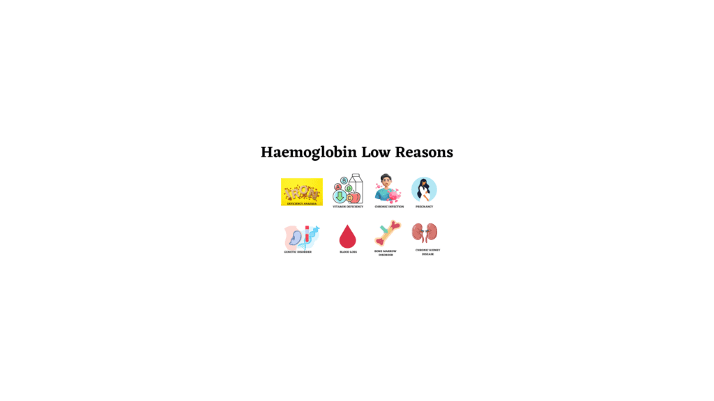 Haemoglobin Low Reasons Healthpathy